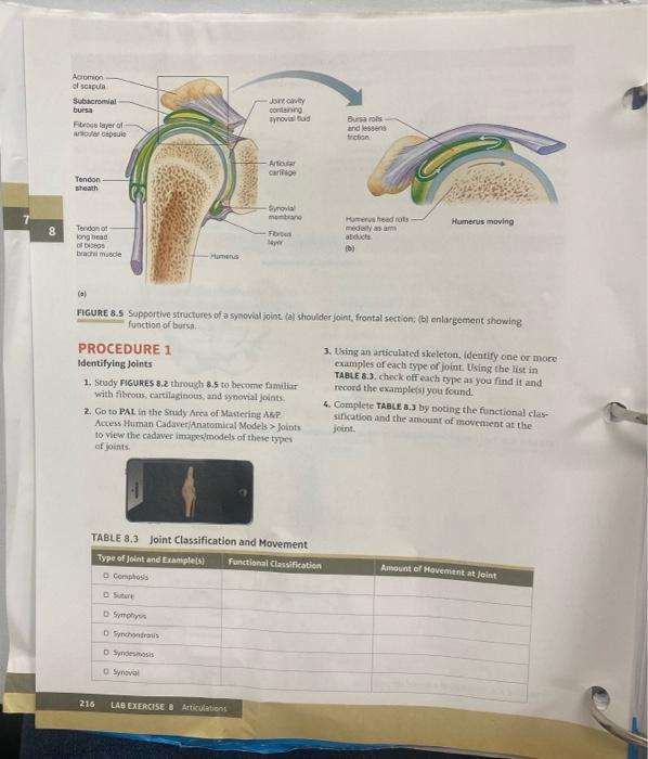 Solved FiGuAE a.2 Three types of risrous joints, (a) suture; | Chegg.com