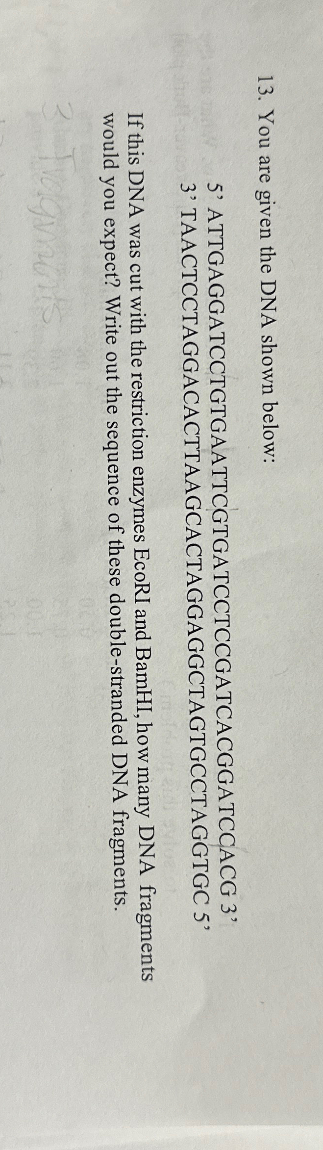 Solved You are given the DNA shown below:5' | Chegg.com