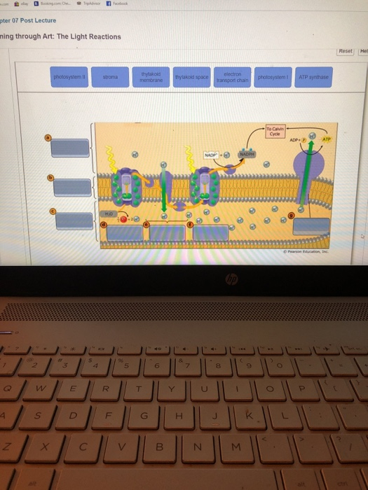 Solved com cebook pter 07 Post Lecture ning through Art: The | Chegg.com Solved com cebook pter 07 Post Lecture ning through Art: The | Chegg.com