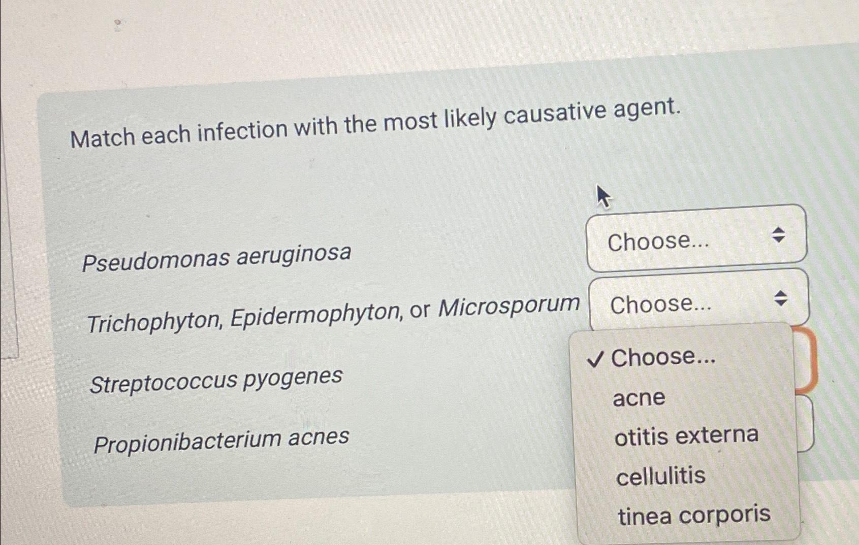 Solved Match each infection with the most likely causative | Chegg.com