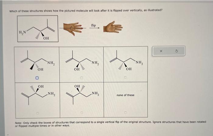 Solved Which of these structures shows how the pictured | Chegg.com