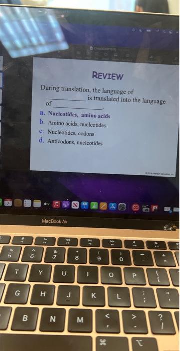 Solved During translation, the language of is translated | Chegg.com