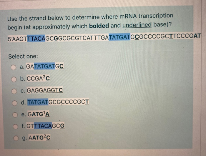 Solved Use the (non-template) DNA strand below to determine | Chegg.com