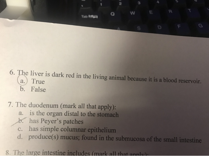 Solved Tabia 6. The liver is dark red in the living animal | Chegg.com