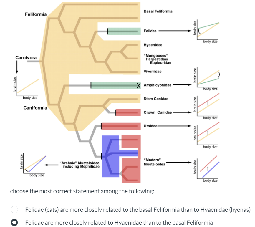 Solved choose the most correct statement among the | Chegg.com