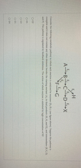 Solved H A B C D Ex G Consider the following metabolic | Chegg.com