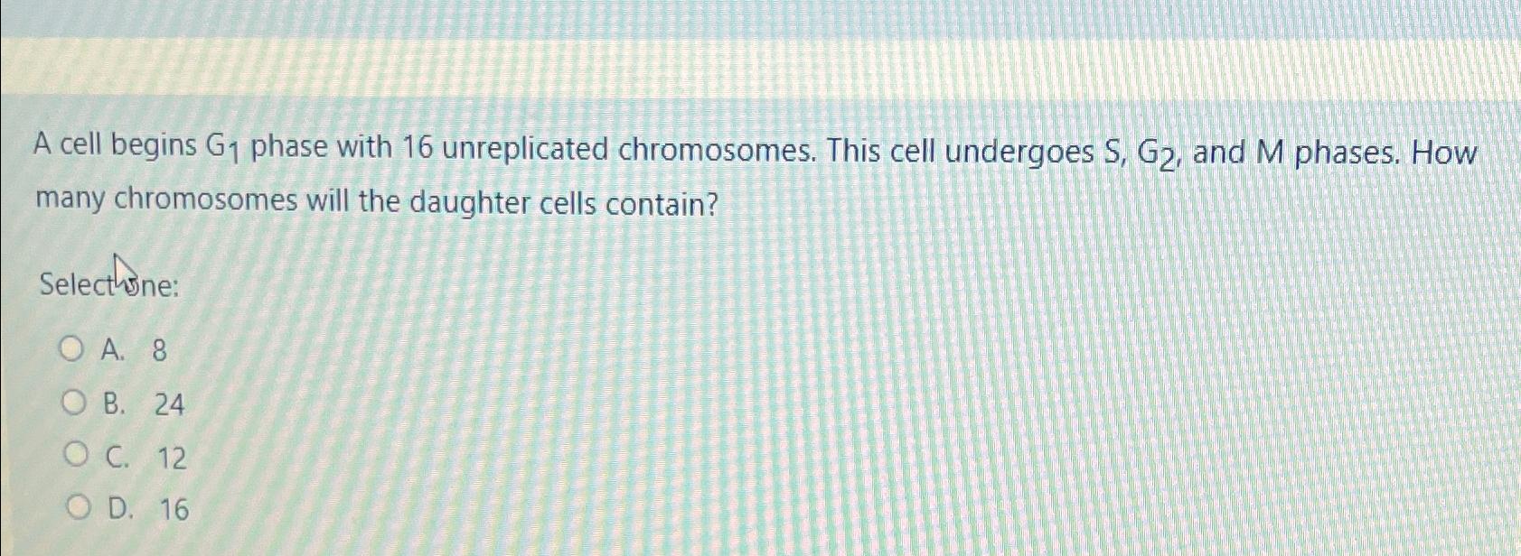 Solved A cell begins G1 ﻿phase with 16 ﻿unreplicated | Chegg.com