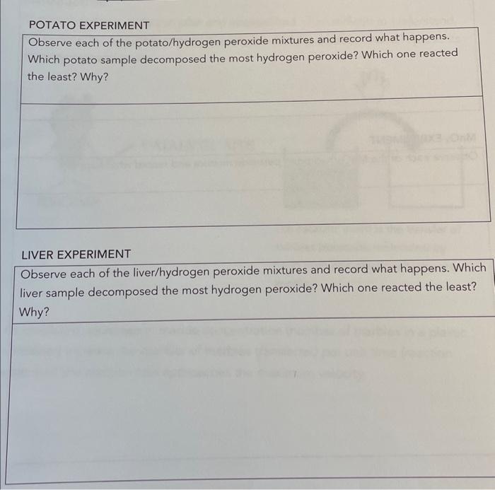 Solved POTATO EXPERIMENT Observe each of the potato/hydrogen | Chegg.com