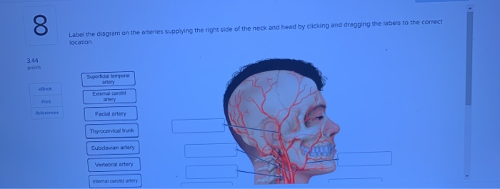 Solved 8 Label the diagram on the arteries supplying the | Chegg.com