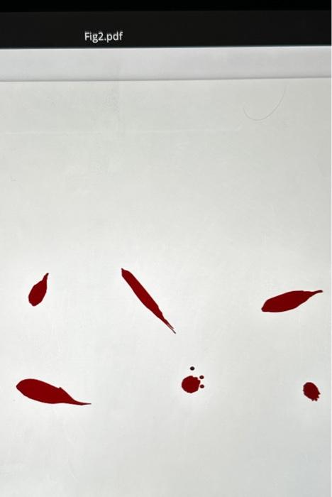 Solved Forensic scientists generally characterize bloodstain | Chegg.com