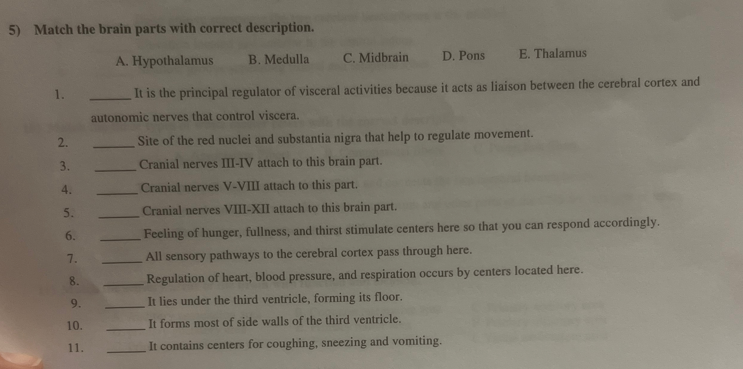 Solved Match the brain parts with correct description.A. | Chegg.com