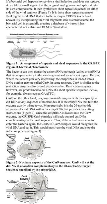 Solved CRISPR-Based Gene Editing Paper Lab Activity with | Chegg.com