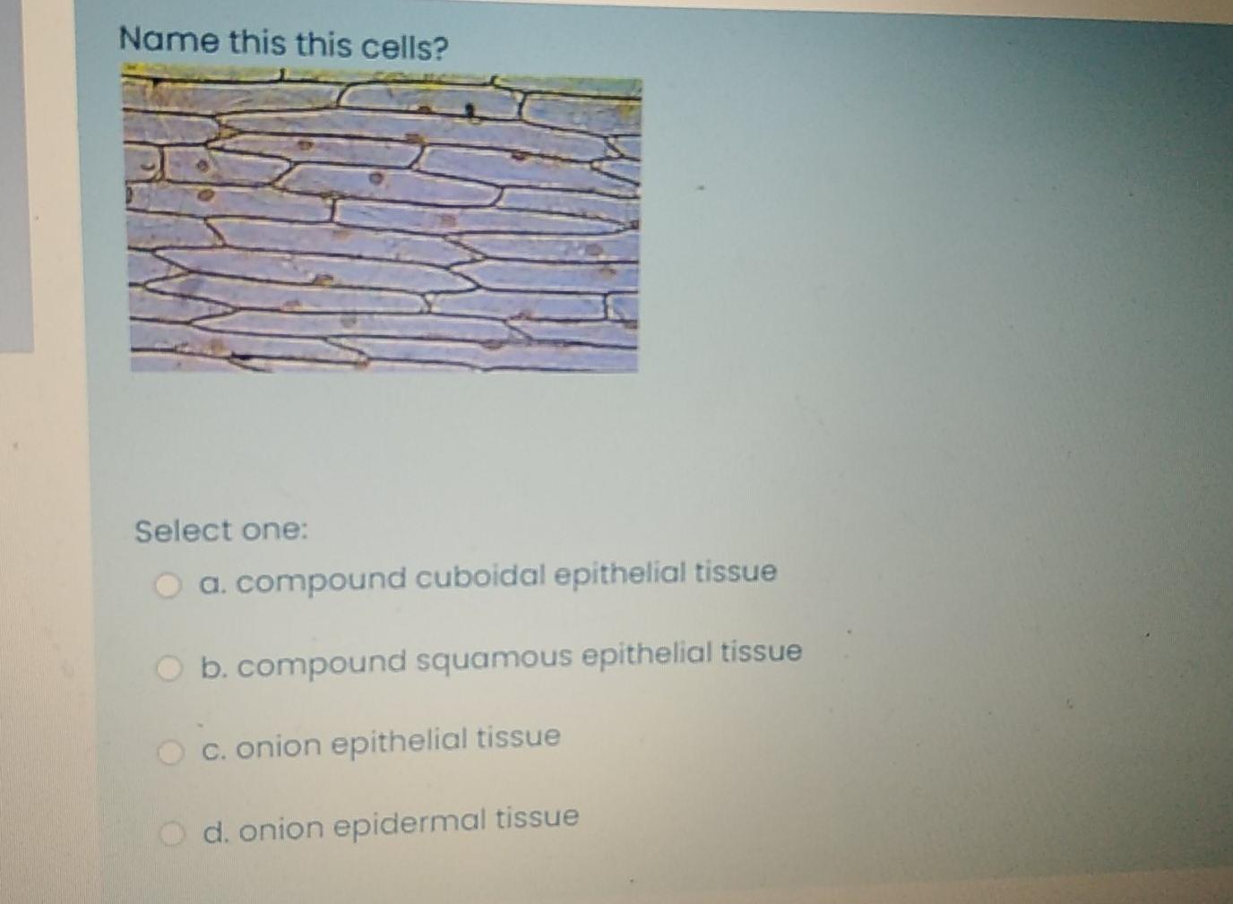 Solved Name this this cells? Select one: a. compound | Chegg.com