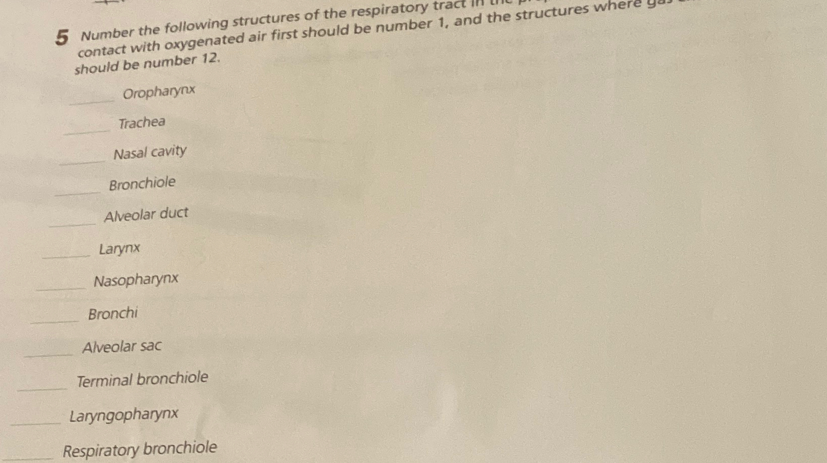 Solved 5 ﻿Number the following structures of the respiratory | Chegg.com
