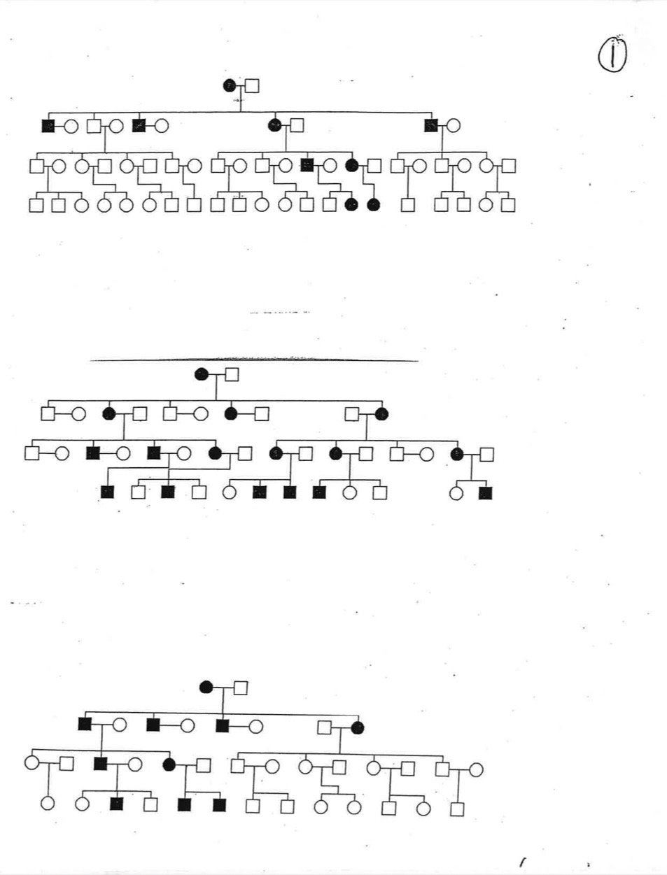 Solved by an EXPERT What is the mode of inheritance all three of them | Chegg.com