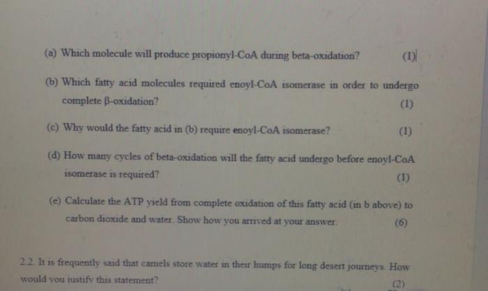 Solved (a) Which molecule will produce propionyl-CaA during | Chegg.com