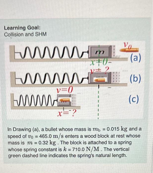 Solved Learning Goal: Collision and SHM In Drawing (a), a | Chegg.com