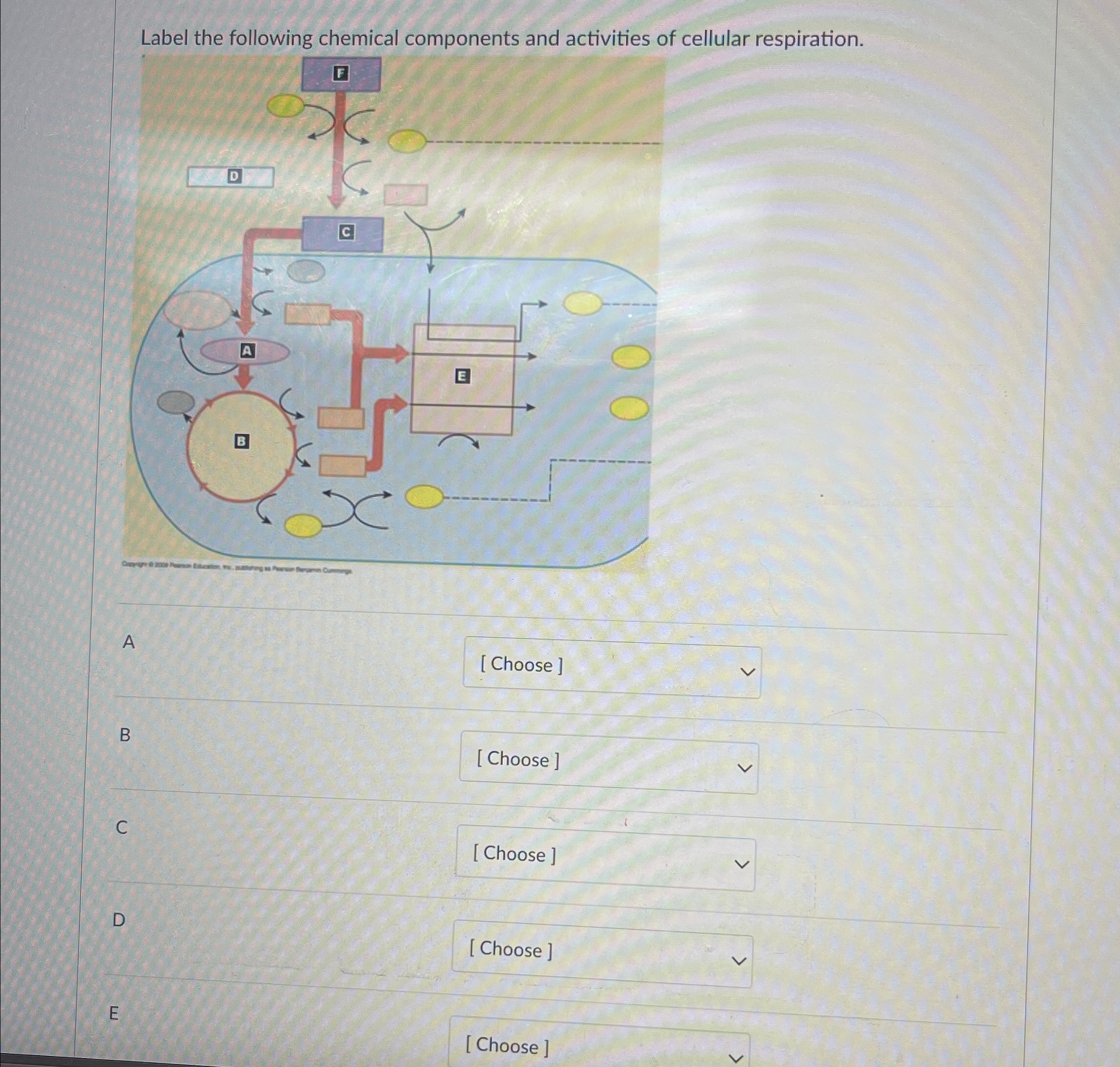 Solved Label the following chemical components and | Chegg.com