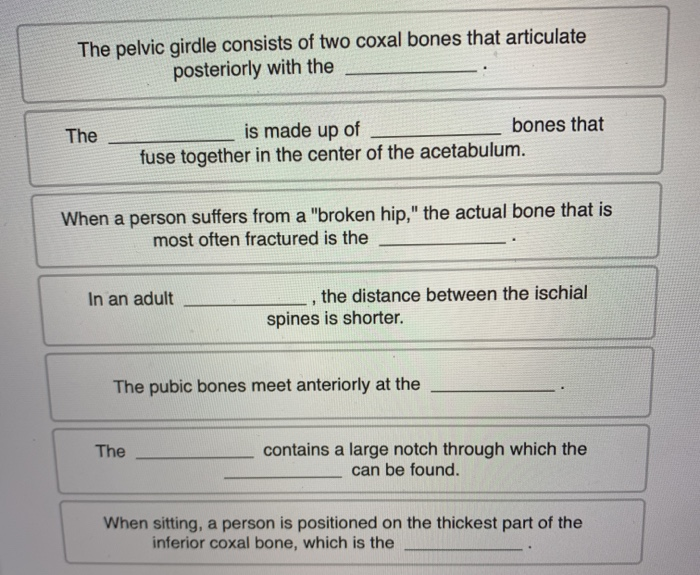 Solved The is sometimes called the "funny bone" because of | Chegg.com