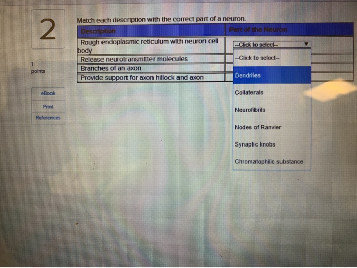 Solved Match each description with the correct part of a | Chegg.com