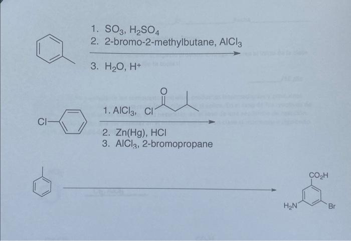 Solved 1. SO3,H2SO4 2. 2-bromo-2-methylbutane, AlCl3 3. | Chegg.com