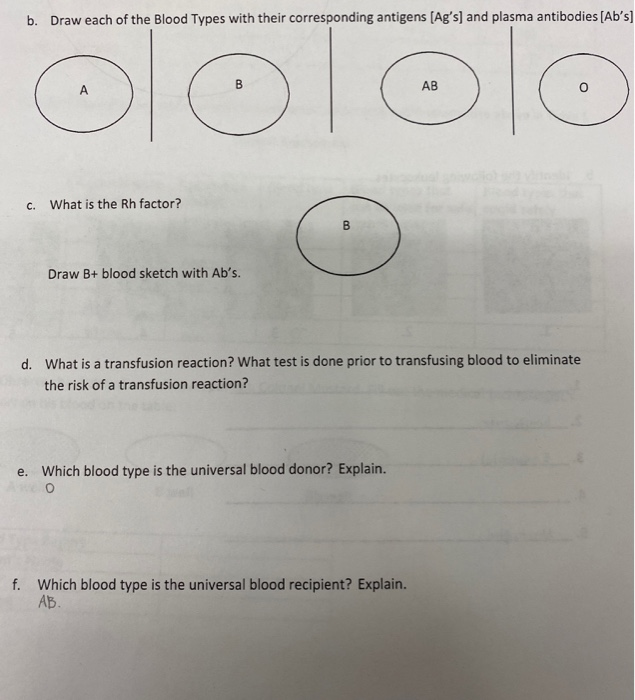 Solved Tolo b. Draw each of the Blood Types with their | Chegg.com