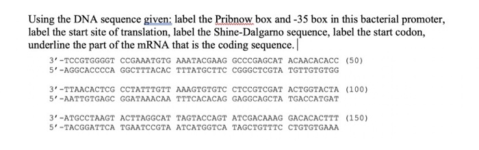 Solved Using the DNA sequence given: label the Pribnow box | Chegg.com