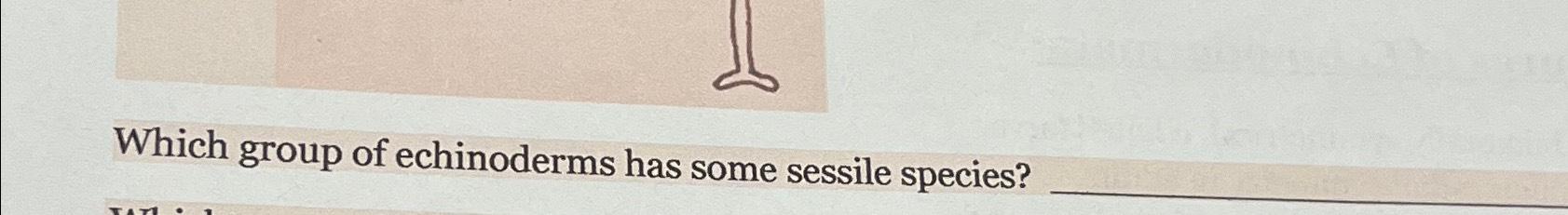Solved Which group of echinoderms has some sessile species? | Chegg.com