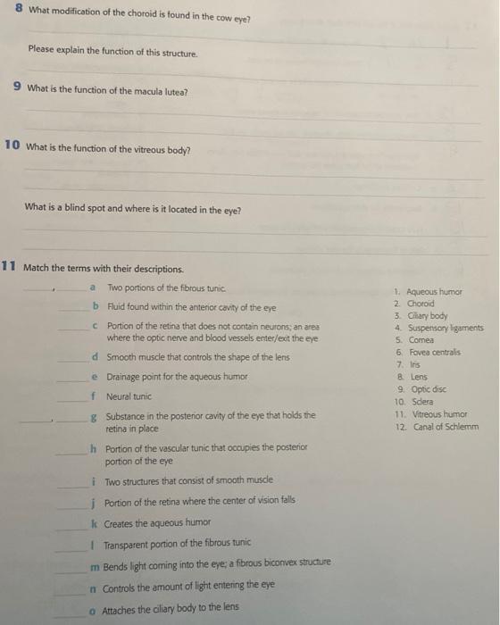 Solved 8 What modification of the choroid is found in the | Chegg.com