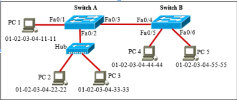 Solved Discuss how network protocols and standards | Chegg.com