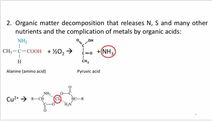 Solved 2. Organic matter decomposition that releases N,S and | Chegg.com