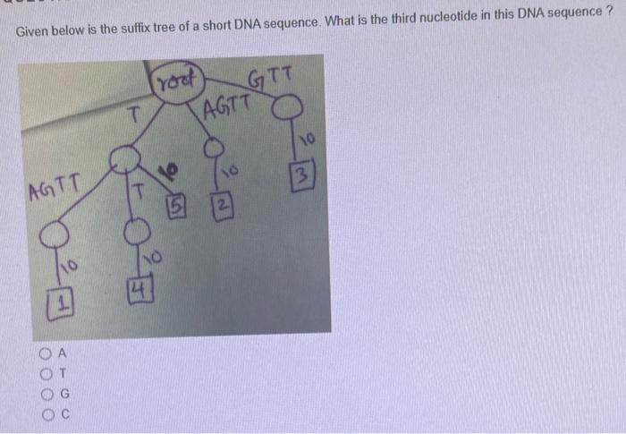 Solved Given below is the suffix tree of a short DNA | Chegg.com