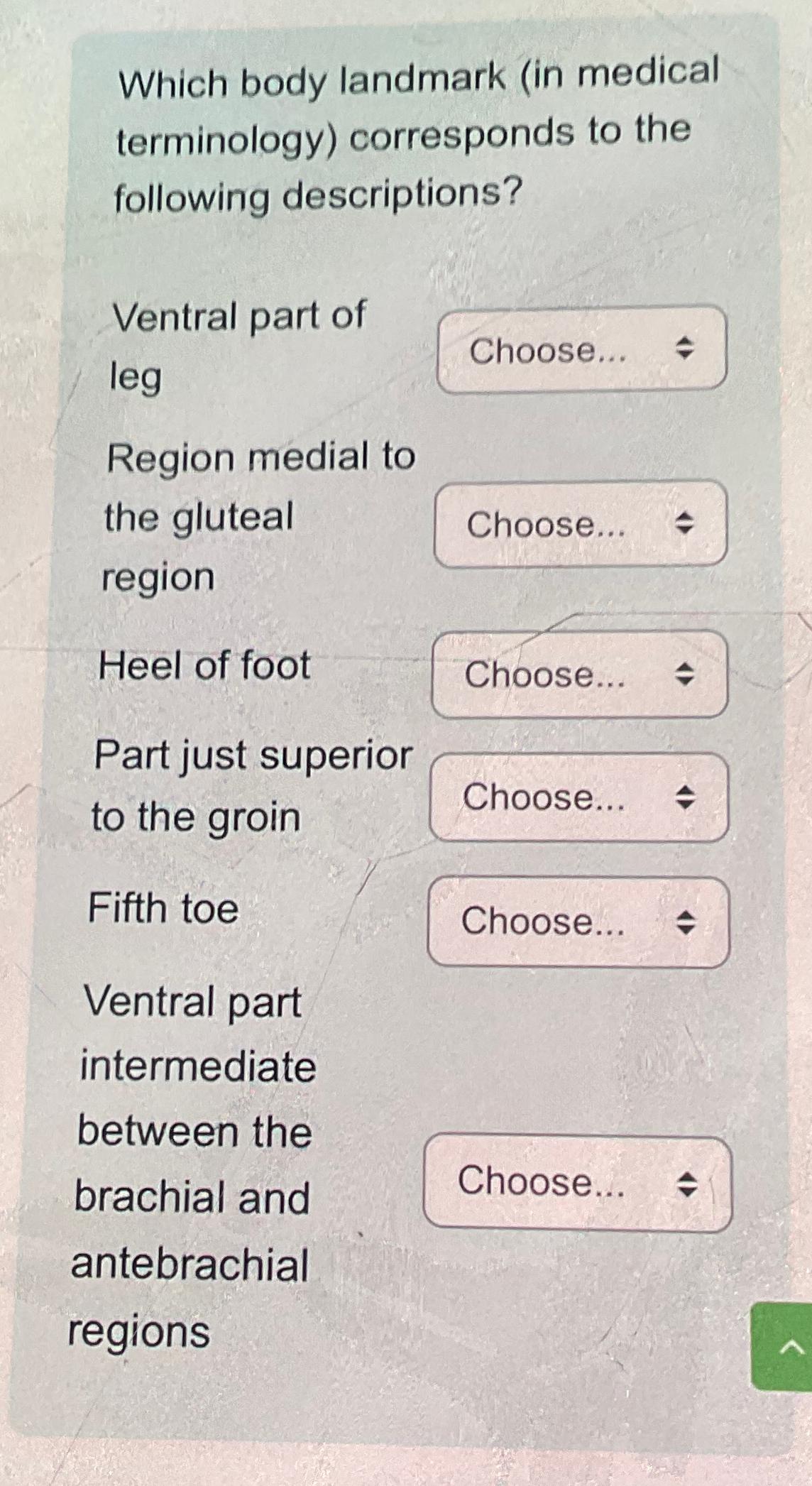 Which body landmark (in medical terminology) | Chegg.com