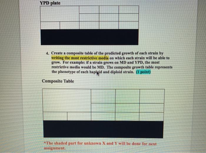 Replica Plating was performed next day following the | Chegg.com