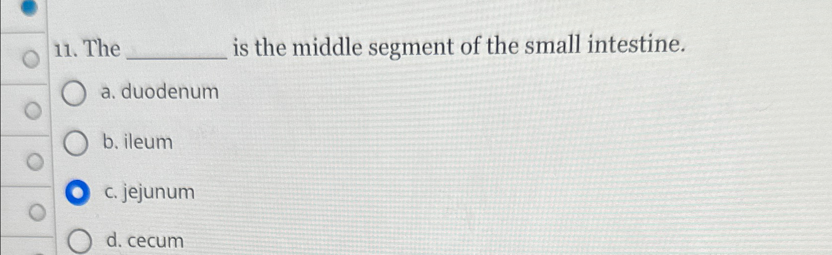 Solved The ﻿is the middle segment of the small | Chegg.com