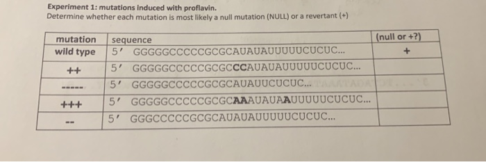 Solved Experiment 1: mutations induced with proflavin. | Chegg.com