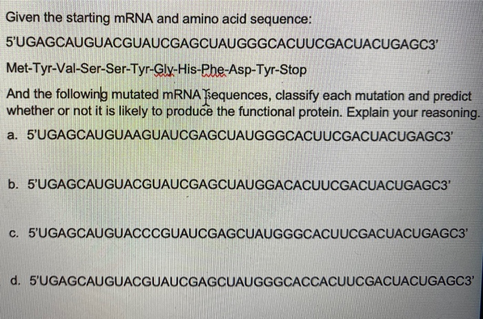 Solved Given the starting mRNA and amino acid sequence: | Chegg.com