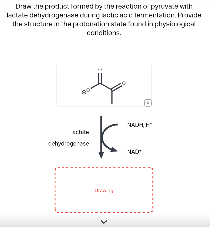 Solved Draw the product formed by the reaction of pyruvate | Chegg.com
