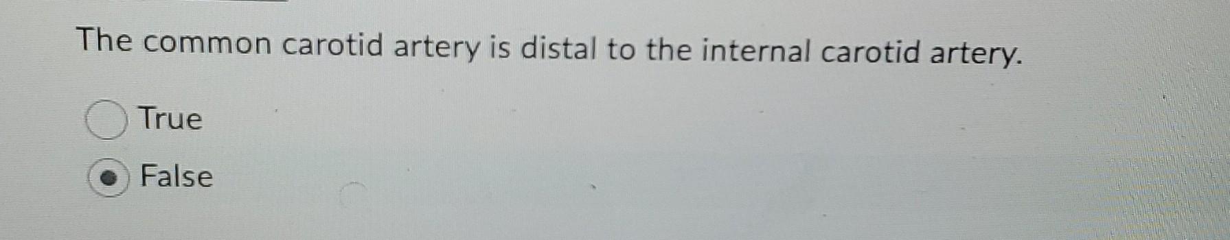 Solved The common carotid artery is distal to the internal | Chegg.com