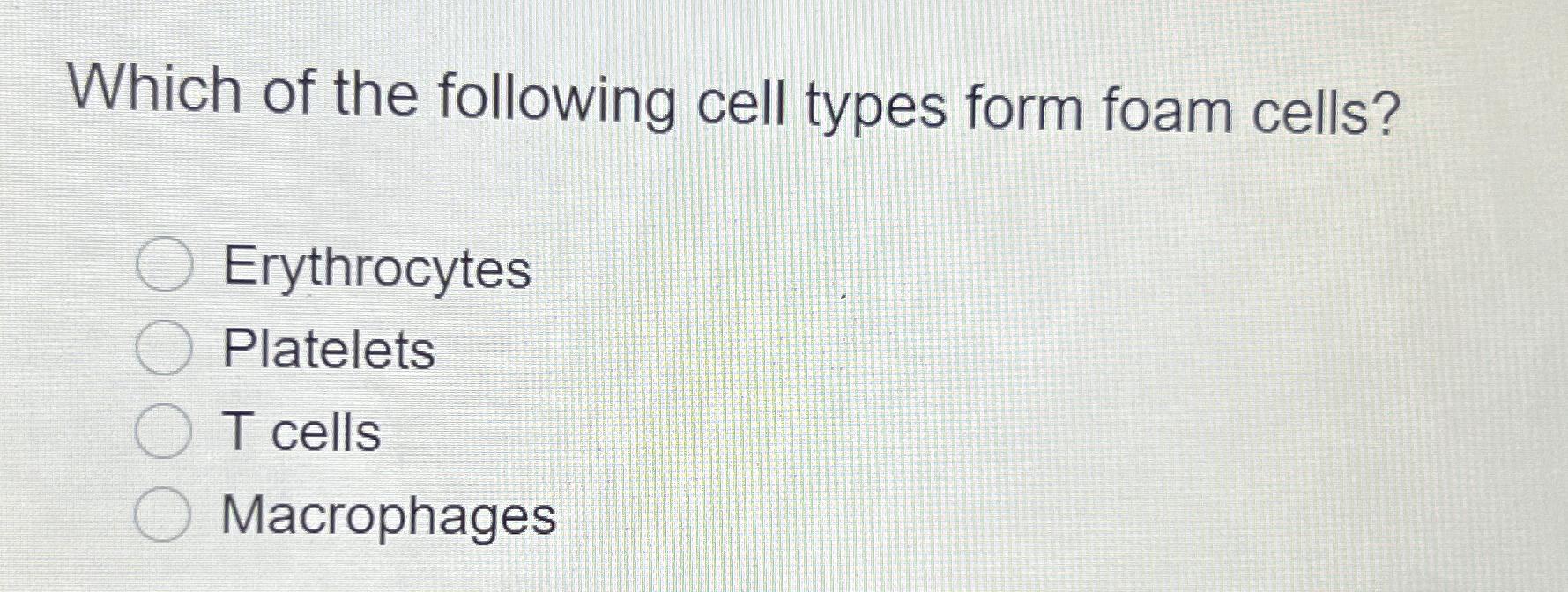 Solved Which of the following cell types form foam | Chegg.com