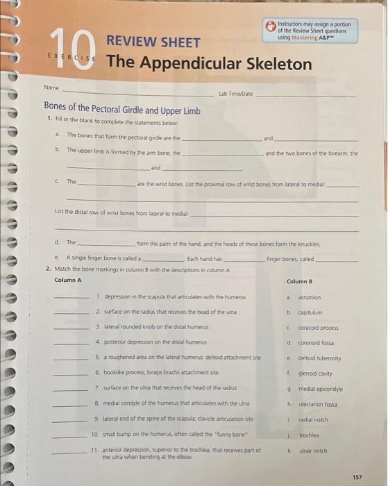 Solved Bones of the Pectoral Girdle and Upper Limb 1. Fill | Chegg.com