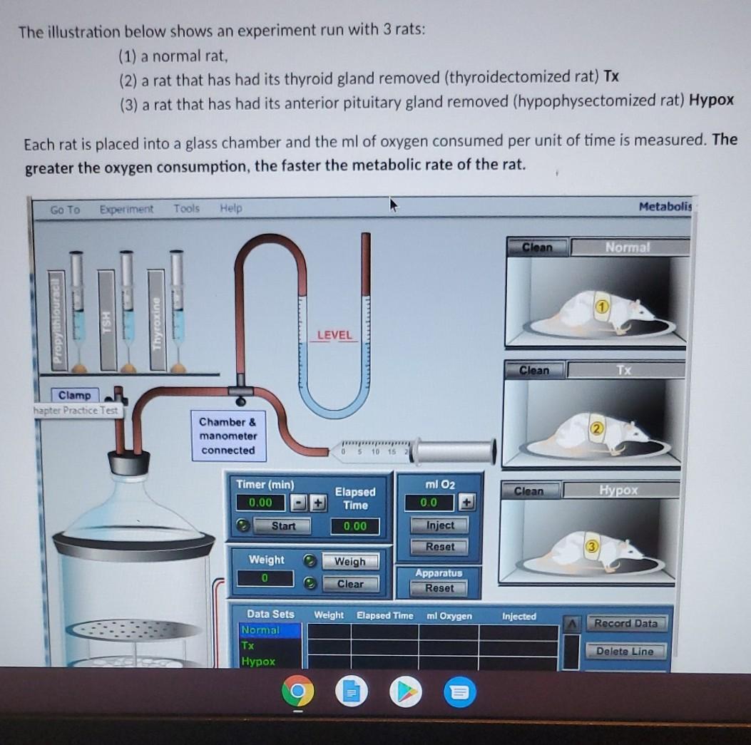 Solved The illustration below shows an experiment run with 3 | Chegg.com