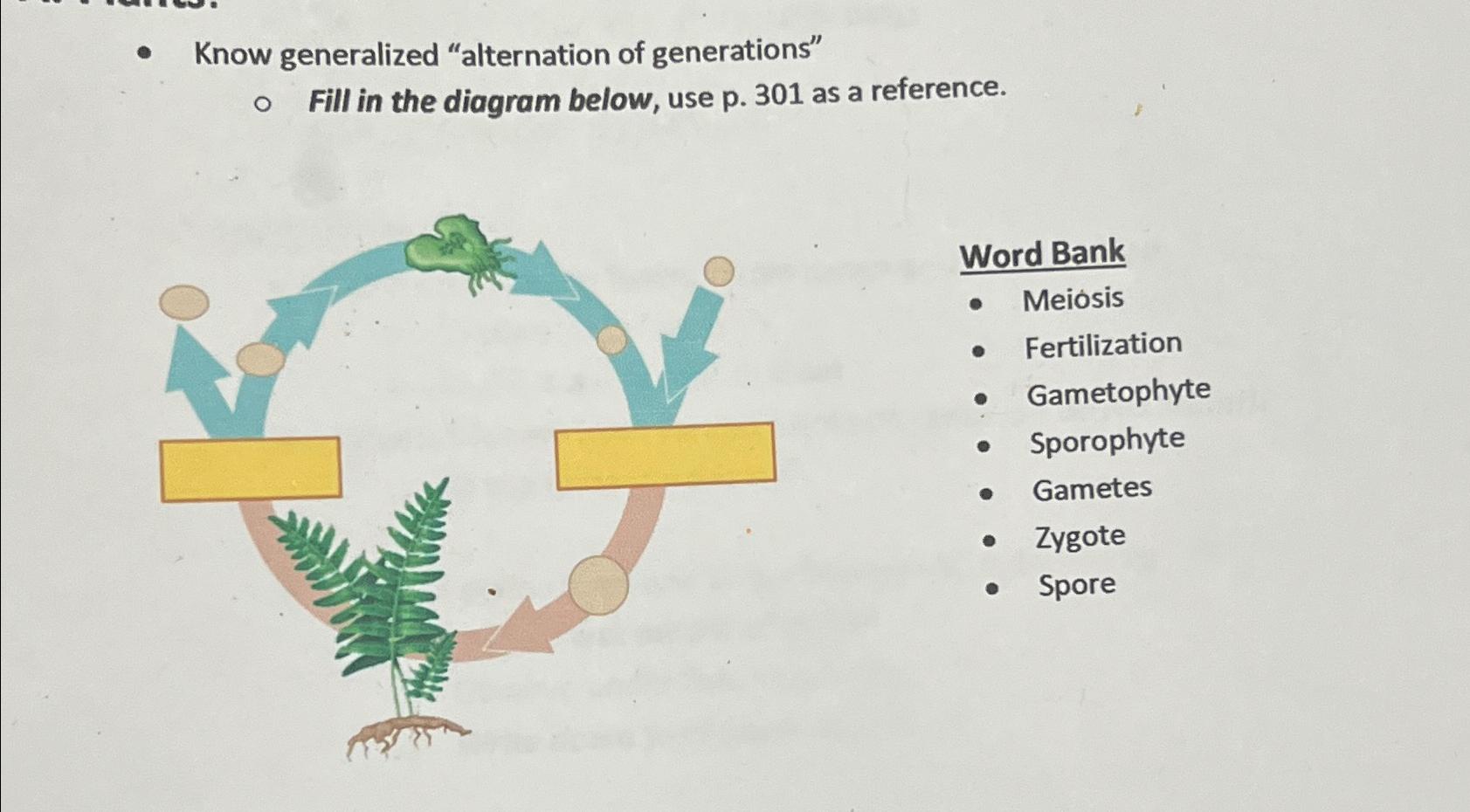 Solved Know generalized "alternation of generations"Fill in | Chegg.com