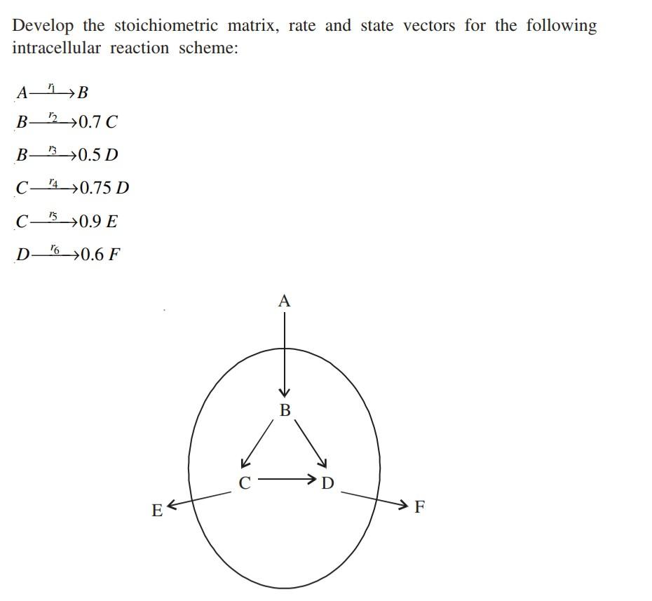 Solved Develop the stoichiometric matrix, rate and state | Chegg.com