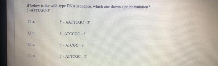 Solved If below is the wild-type DNA sequence, which one | Chegg.com