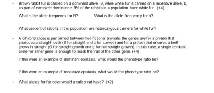 Solved - Brown rabbit fur is carried on a dominant allele, | Chegg.com