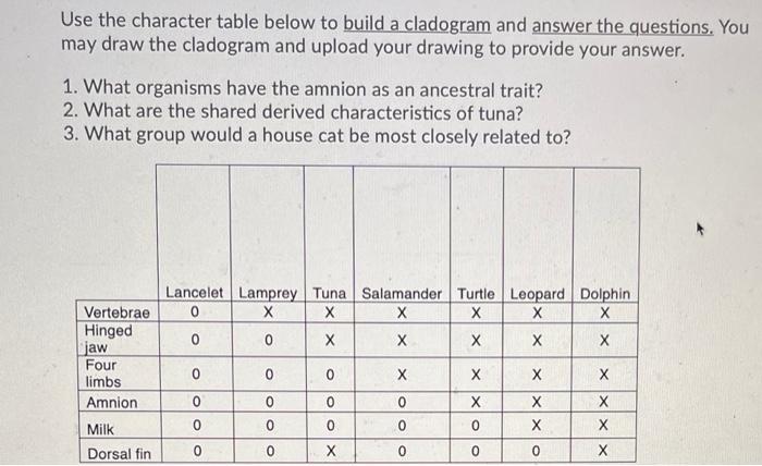 Solved Use the character table below to build a cladogram | Chegg.com