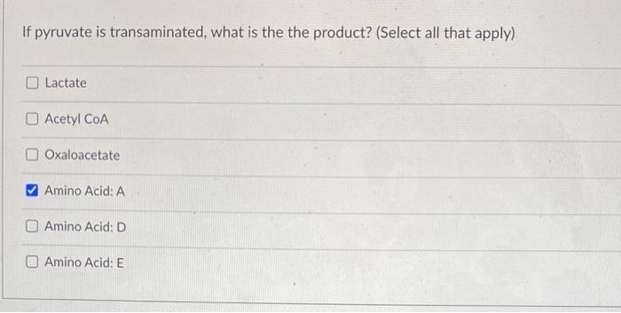 Solved If pyruvate is transaminated, what is the the | Chegg.com