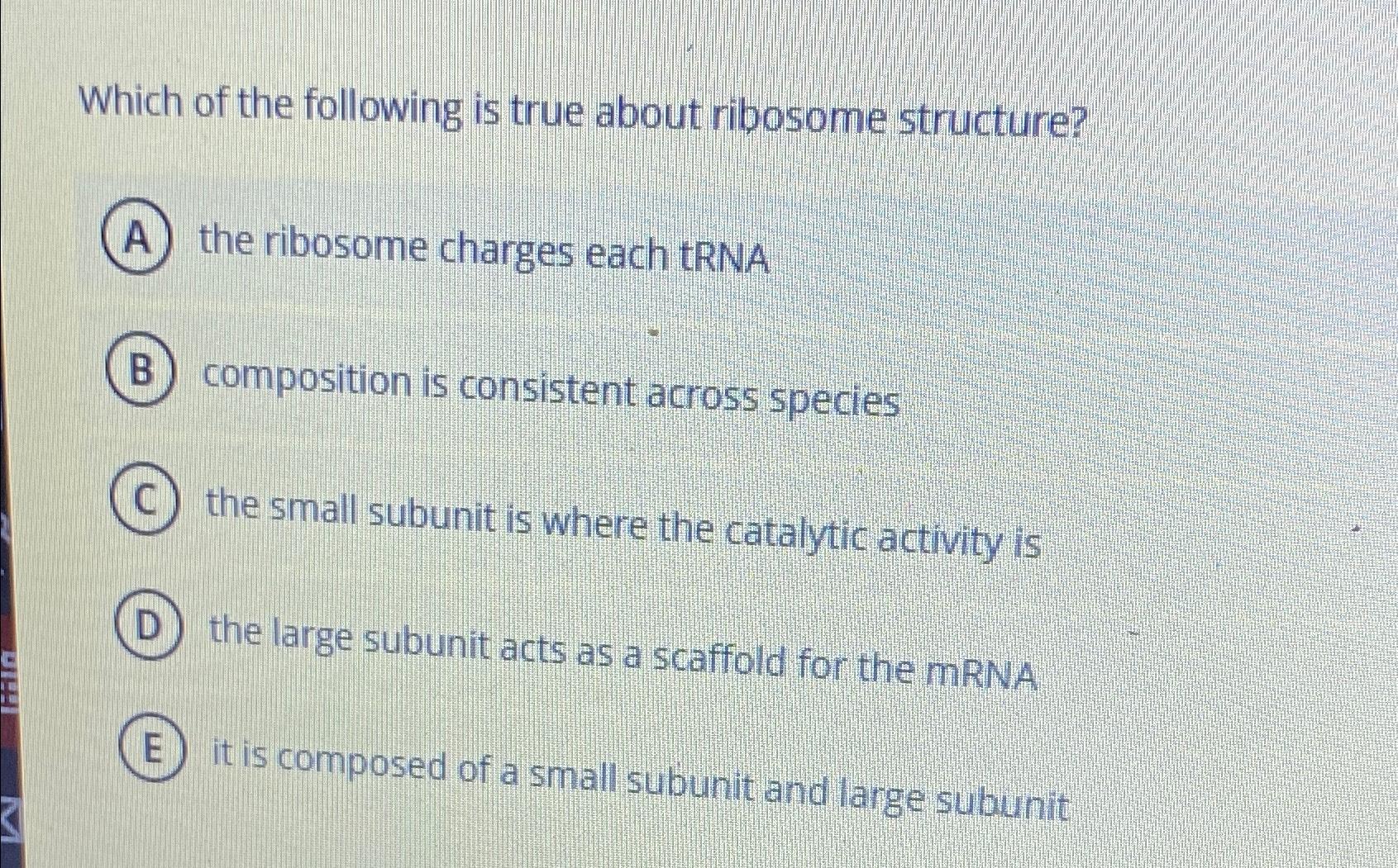 Solved Which of the following is true about ribosome | Chegg.com