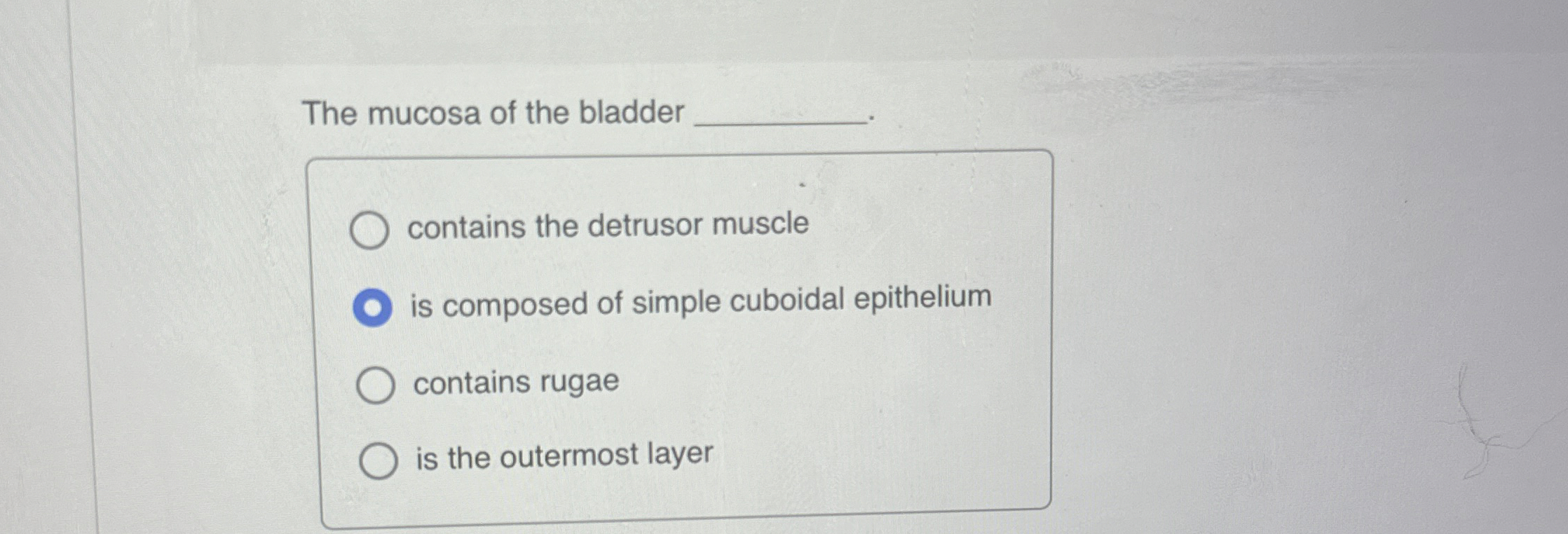 Solved The mucosa of the bladder q,contains the detrusor | Chegg.com
